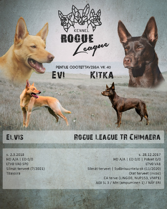 KE-pentue :: Rogue League